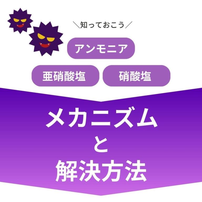 超クマノミ大図鑑 | AQUALASSIC