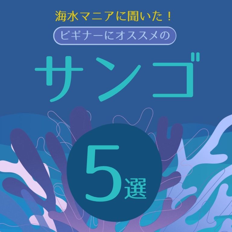 海水マニアに聞いてみた！実は初めてのマリンアクアリウムにおすすめのサンゴ | AQUALASSIC