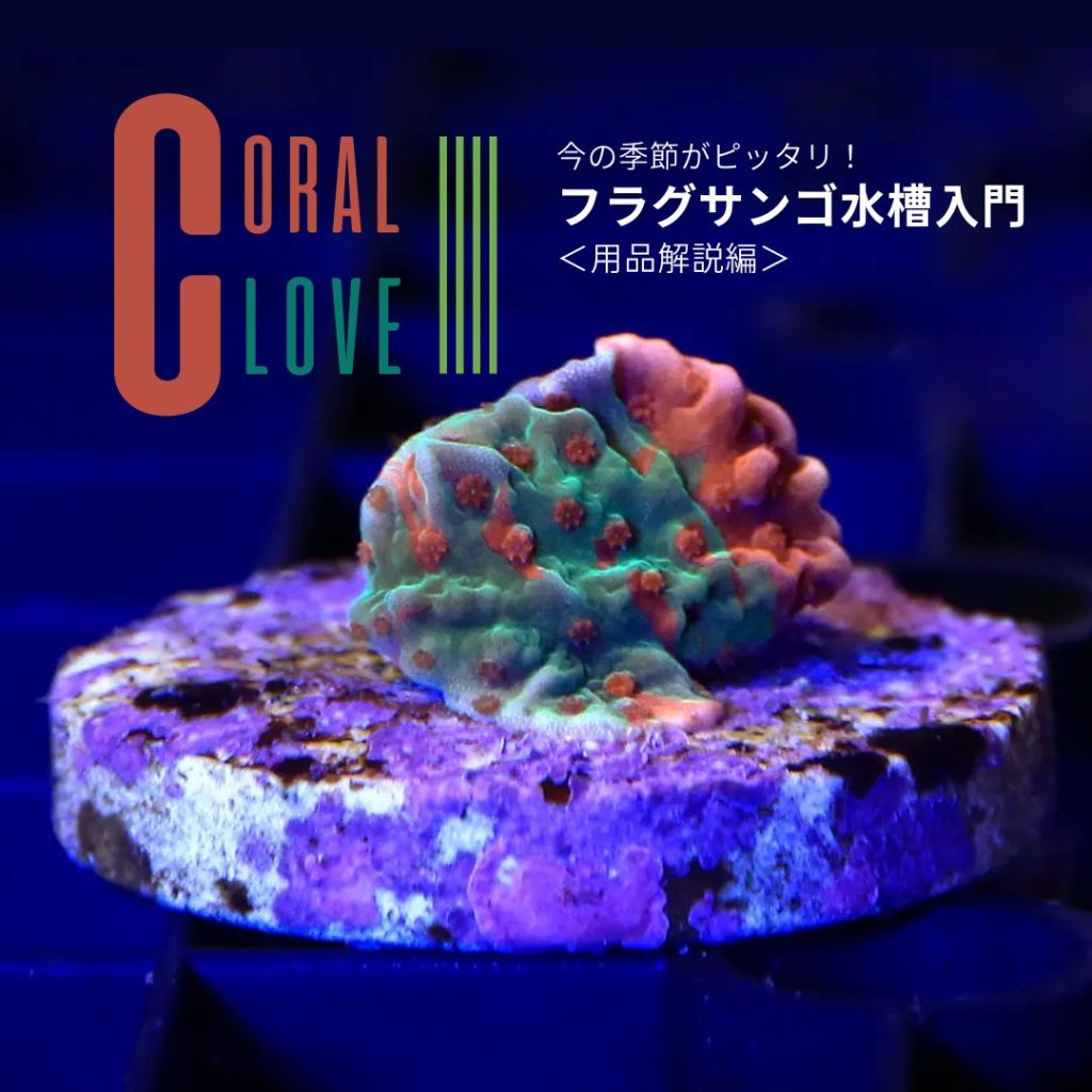 CORAL LOVE 第1回 | AQUALASSIC