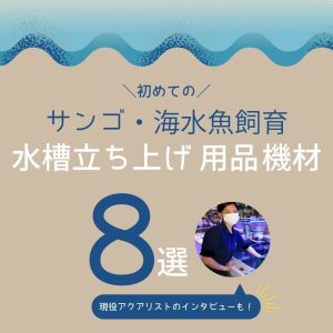 海水魚 | AQUALASSIC