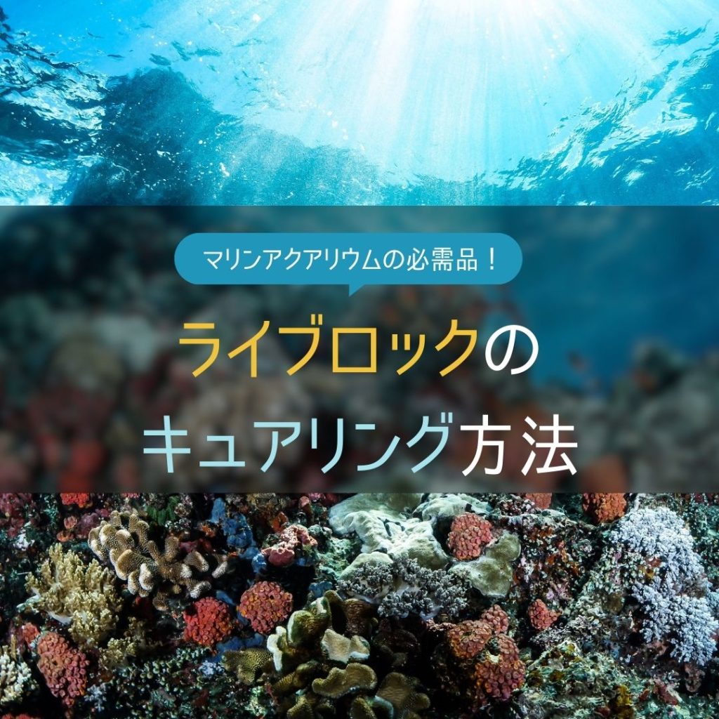 ライブロックの選び方 必要量とカタチのあれこれ | AQUALASSIC