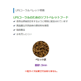 サンゴ用フードについて | AQUALASSIC