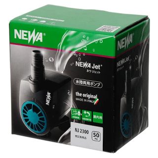 ビギナーでも安心！イソギンチャク飼育の用品ガイド | AQUALASSIC